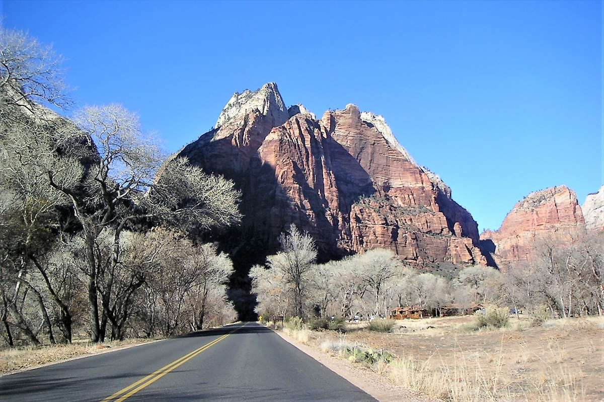 【ザイオン国立公園】 - 行く前に知っておきたい10項目の事前知識と見どころを紹介 - ニコカメラ