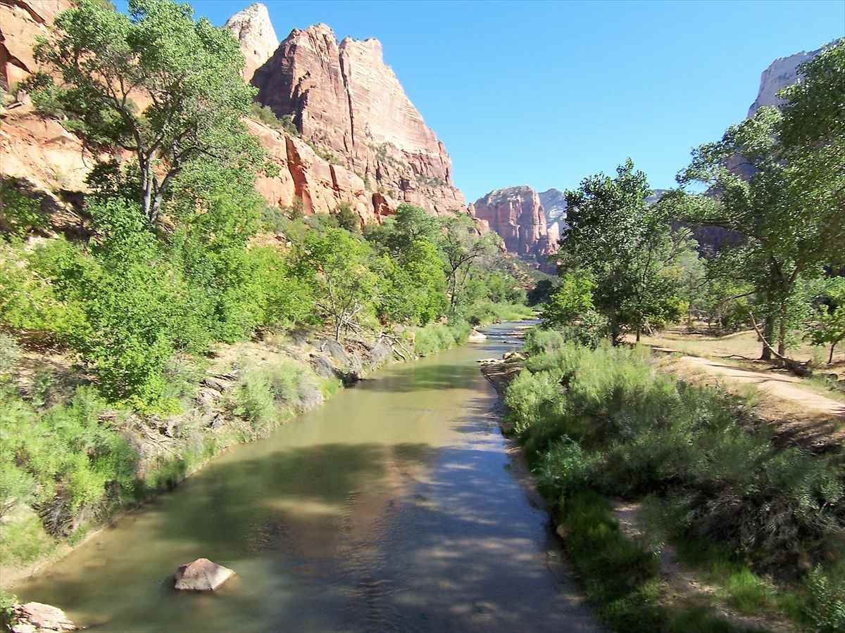 【ザイオン国立公園】 - 行く前に知っておきたい10項目の事前知識と見どころを紹介 - ニコカメラ